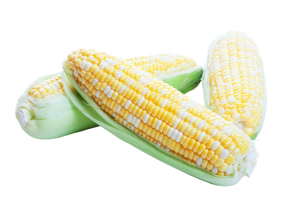 Sweet Corn | Wada Farms